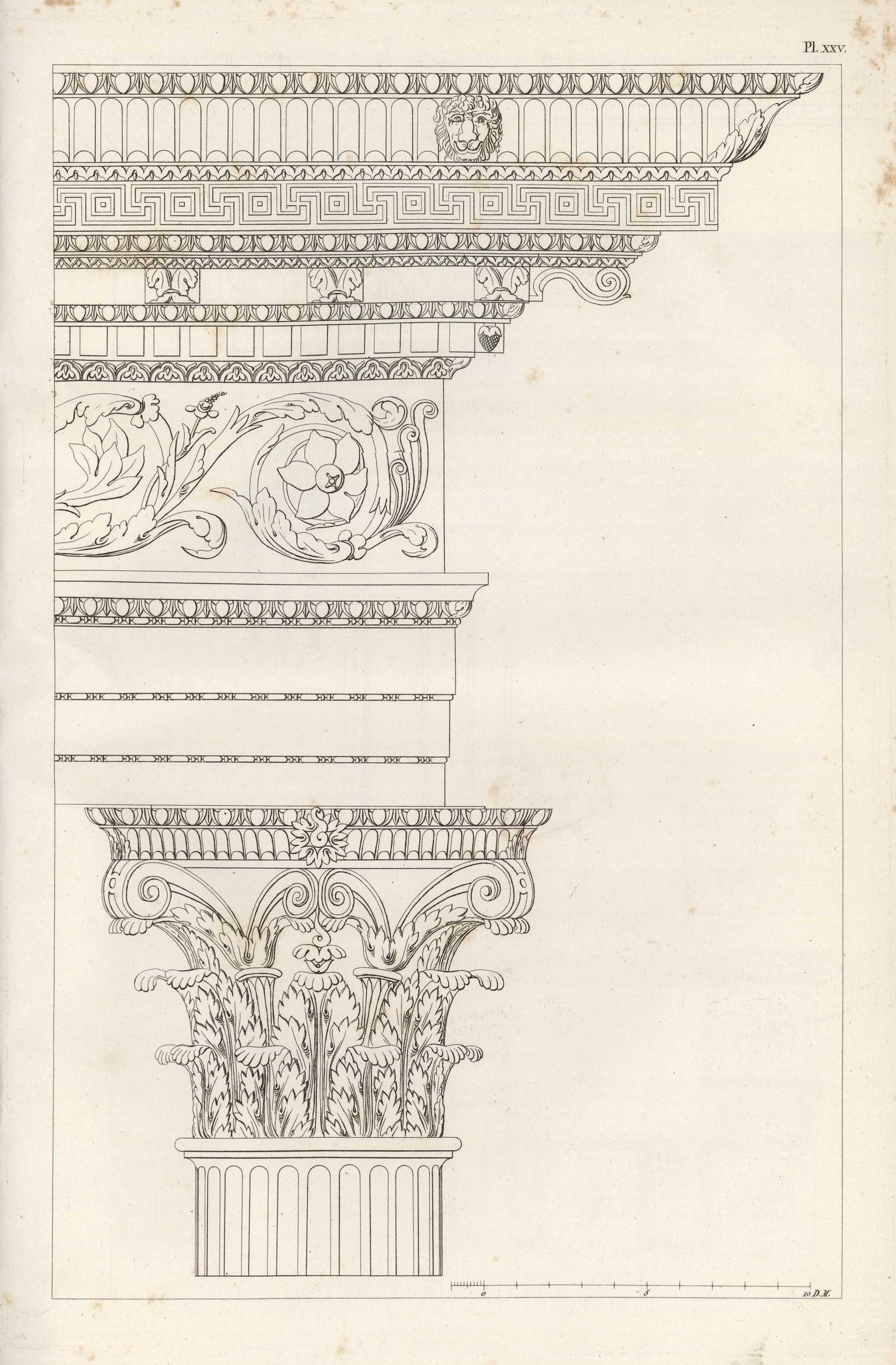 Profil en grand du chapiteau et de l'entablement - La Maison Carrée